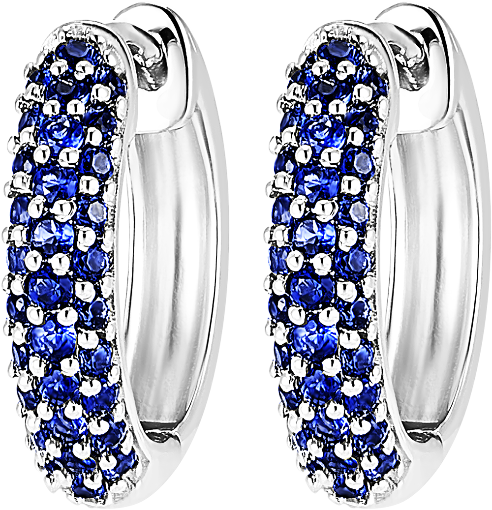 Oorbellen Paradijsvogel - Creolen met saffieren - 9 karaat witgoud ...